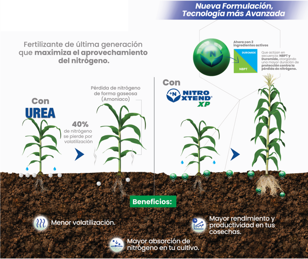 NITRO XTEND® XP - Disagro Nicaragua