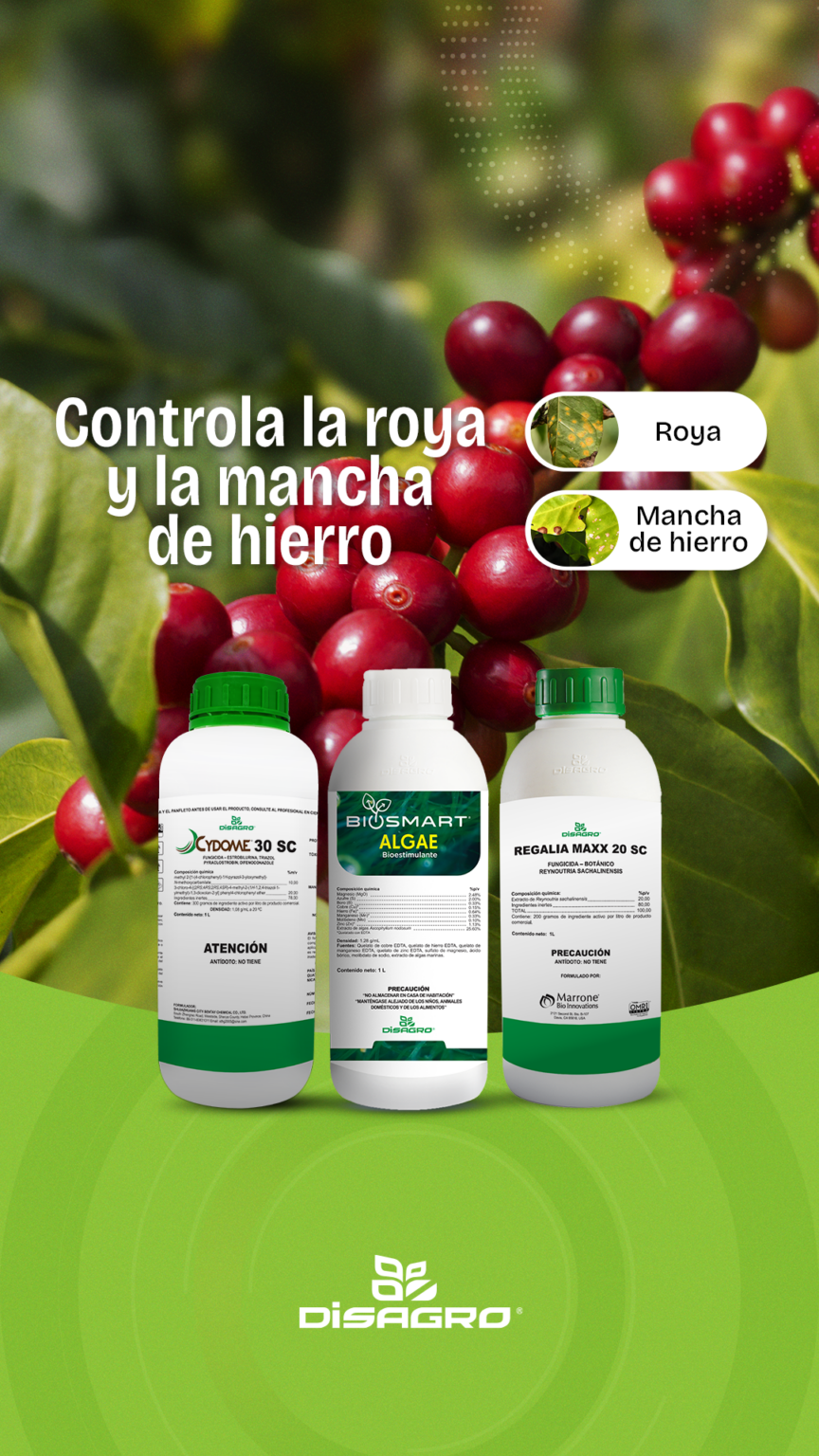 Grupo de productos - Disagro Nicaragua