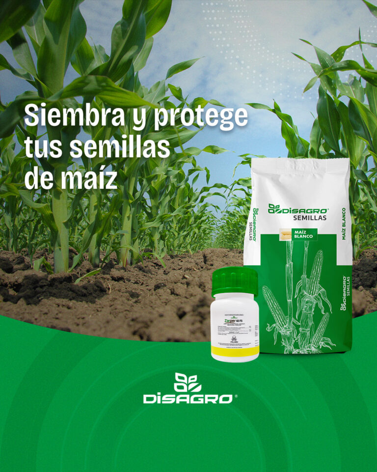 Grupo de productos - Disagro Nicaragua
